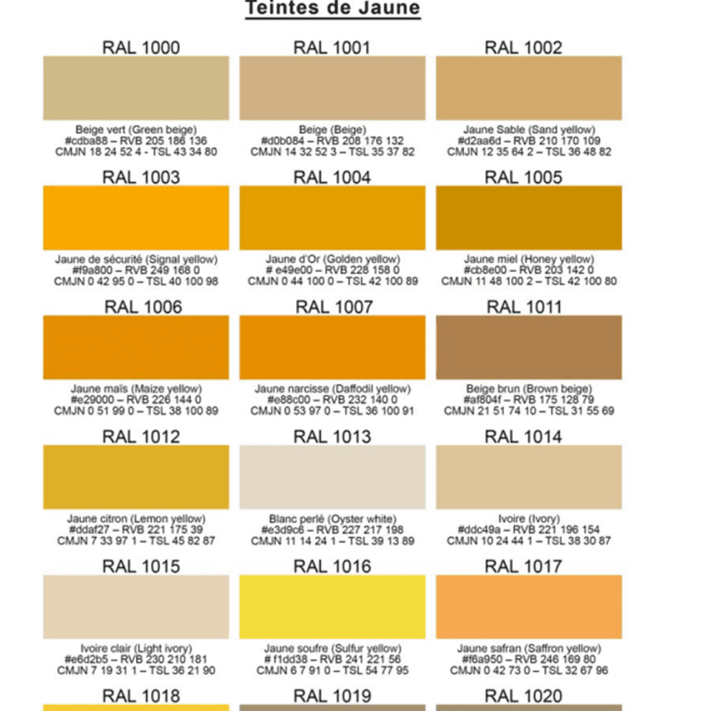 Colorant Ral 1kg pour RAPTOR » Raptor Store France