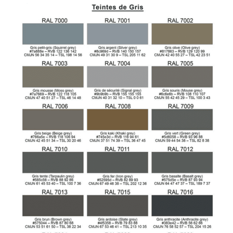 Colorant Ral 1kg pour RAPTOR » Raptor Store France