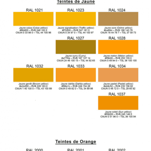 Colorant Ral 1kg pour RAPTOR » Raptor Store France